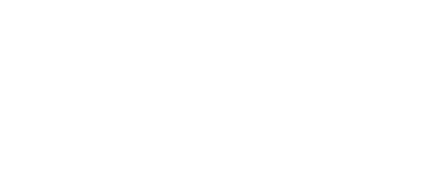 Executive Team | Launch Underwriters